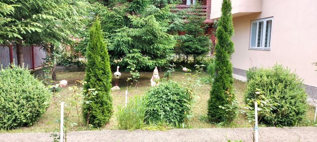 Case de vanzare in Lepsa - Silvacasa Start