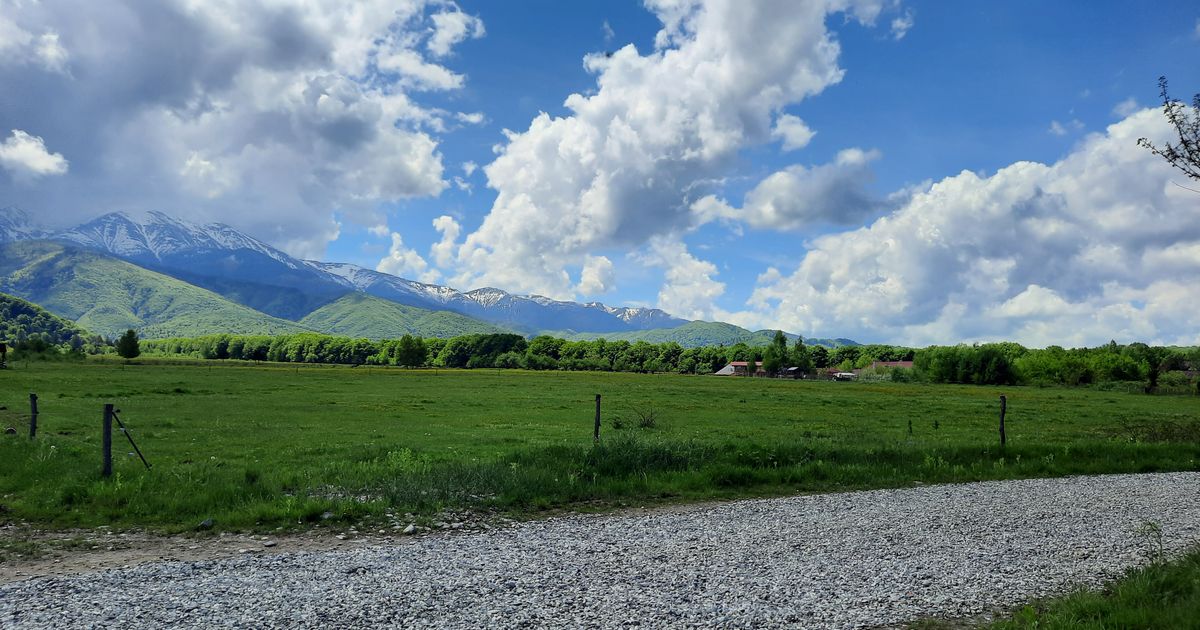 Terenuri de vanzare in Avrig, zona Exterior Est - Welhome Invest