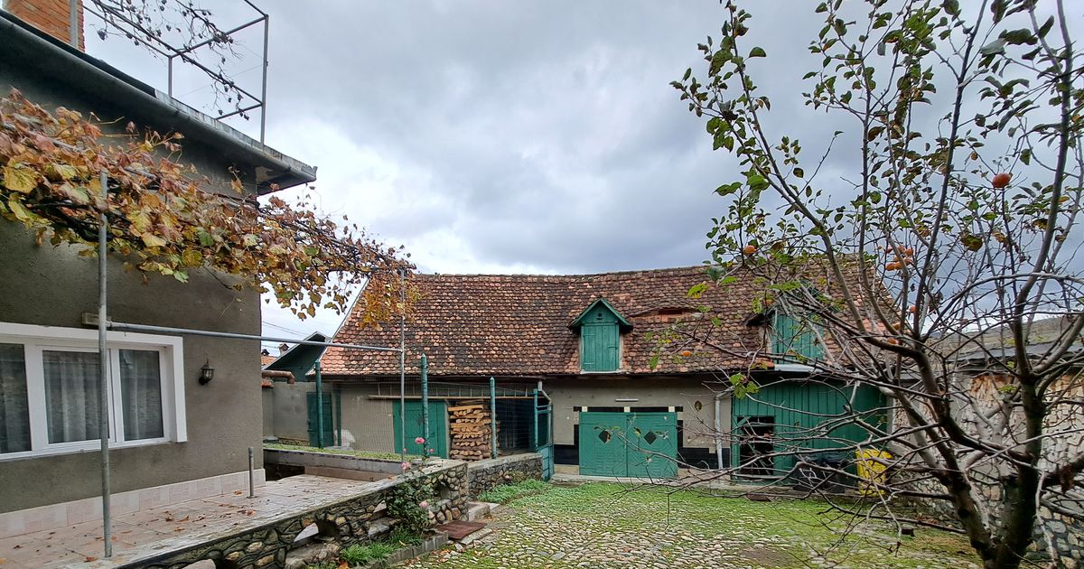 Case de vanzare in Rasinari - Welhome Invest