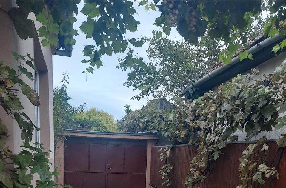 Case de vanzare in Ghiroda - Bindea Imobiliare