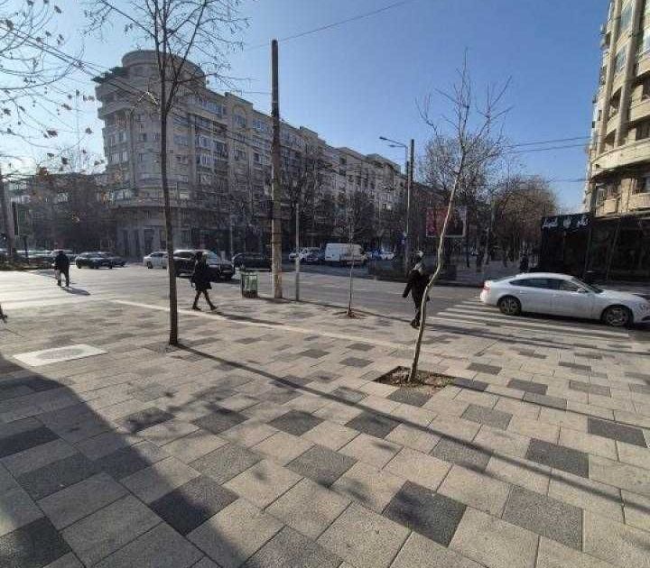 Vanzare Apartament 3 Camere Bd Decebal / Th. Sperantia/ Delea Noua - RIMO