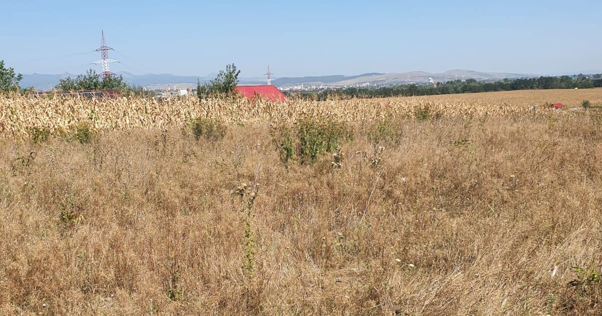 Teren de vanzare in Alba Iulia, judet Alba - AON Imobiliare