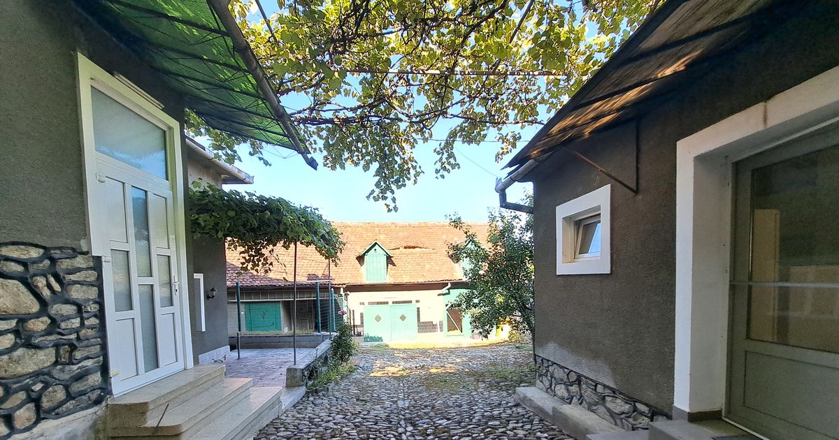 Case de vanzare in Rasinari - Welhome Invest