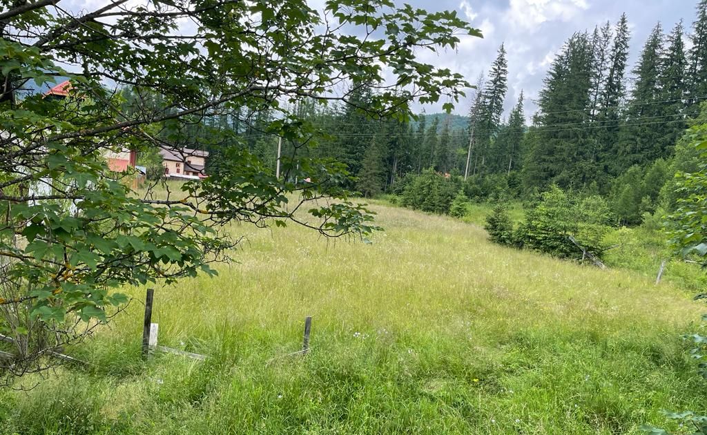 Terenuri de vanzare in Cheia - Art Imobiliare