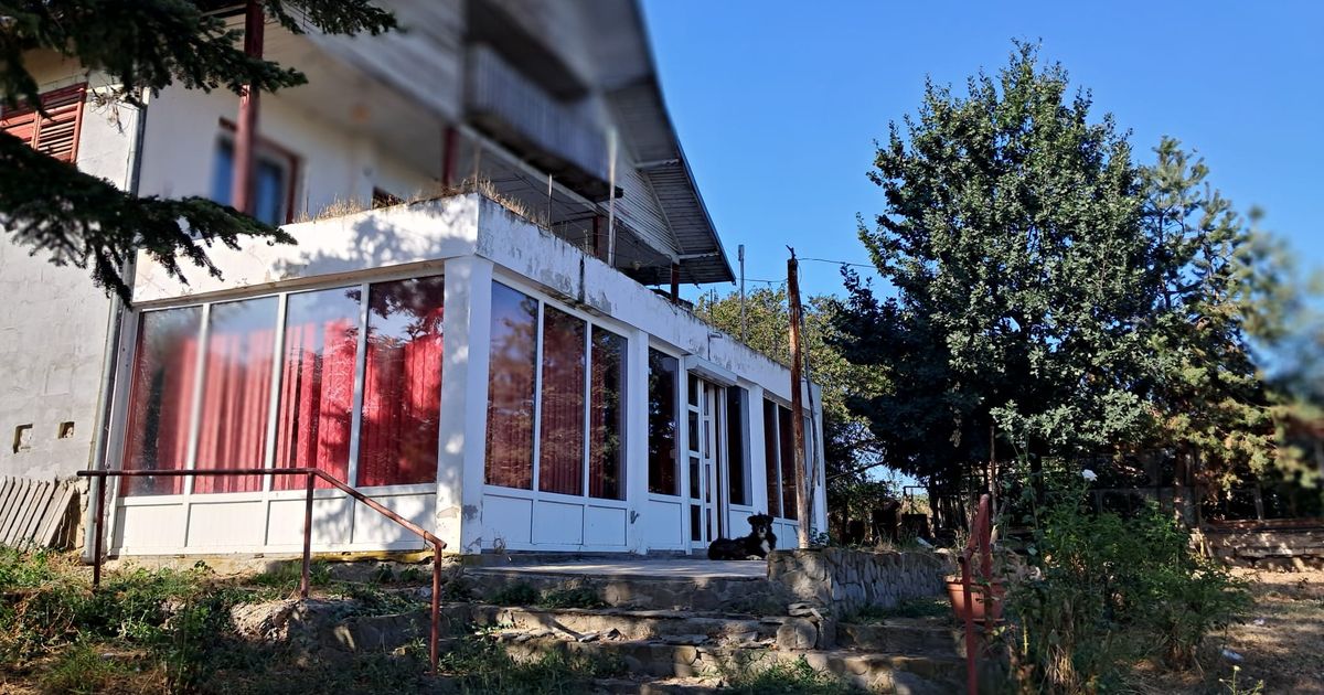 Case de vanzare in Bucov - DINOIU IMOBILIARE