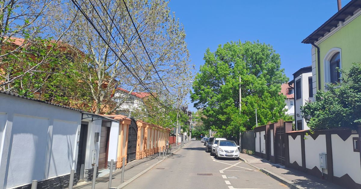 Casa deosebita | Totul nou | Brancoveanu - TRIMBITASU ESTATE