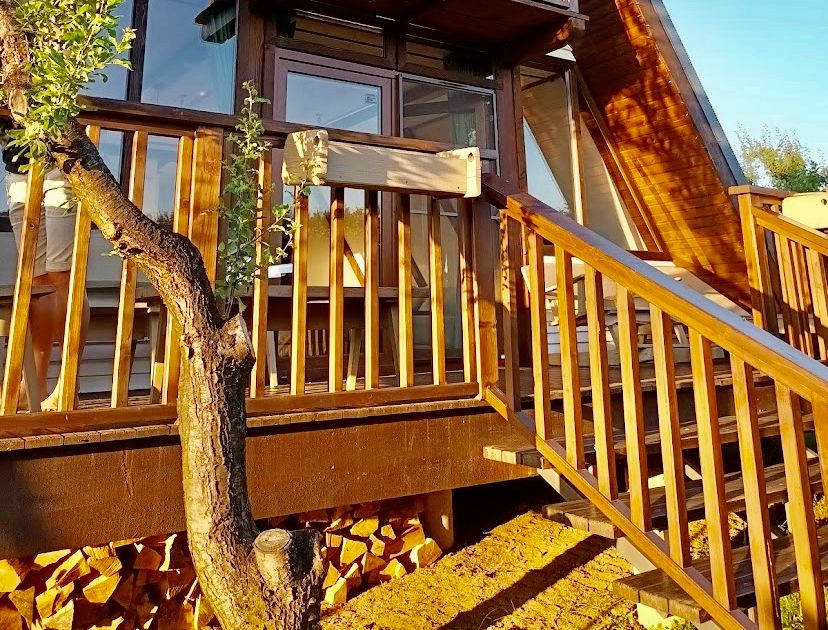 Casa / Vila cu 4 camere de vanzare in Rasinari - Platinum Imobiliare