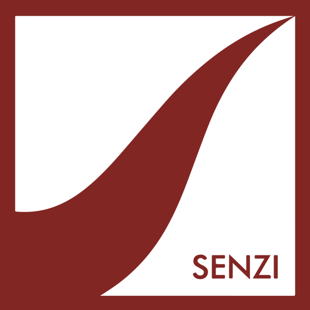 Echipa - Senzi Imobiliare